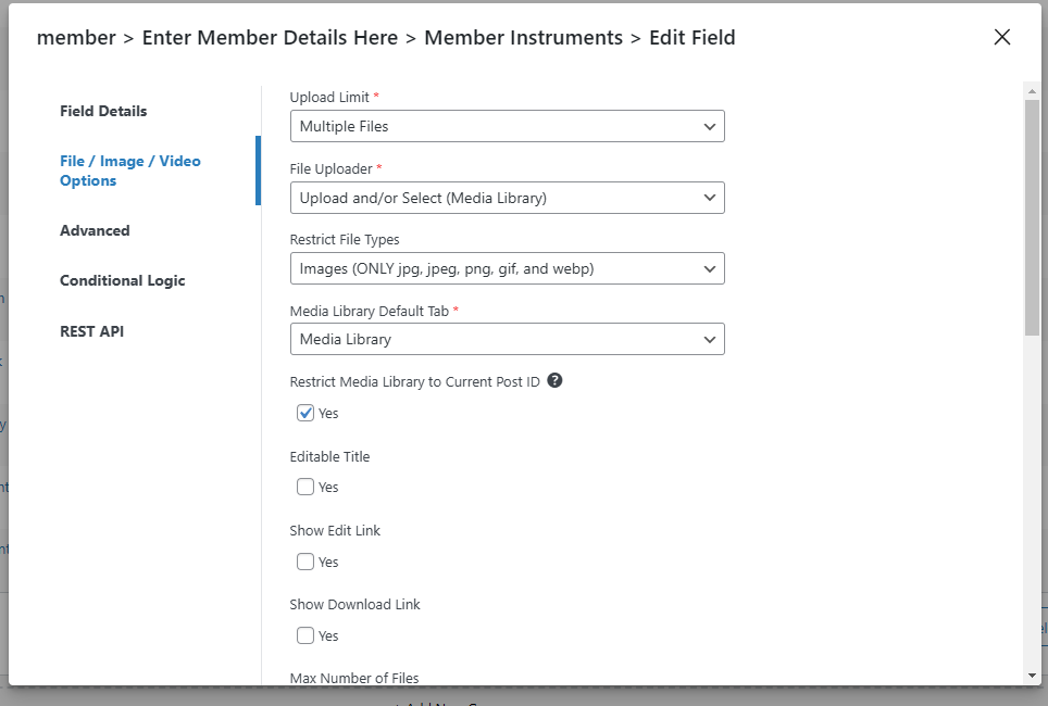 Custom Query Loop For Image Gallery On Post How To Bricks Community