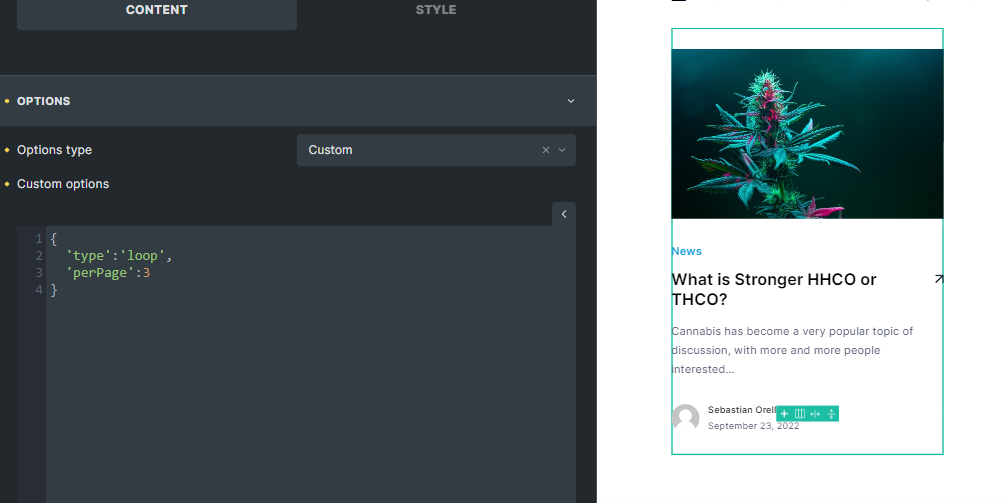SOLVED: Nestable Slider Custom Options - Invalid JSON - Bugs - Bricks ... SOLVED: Nestable Slider Custom Options - Invalid JSON - Bugs - Bricks ...