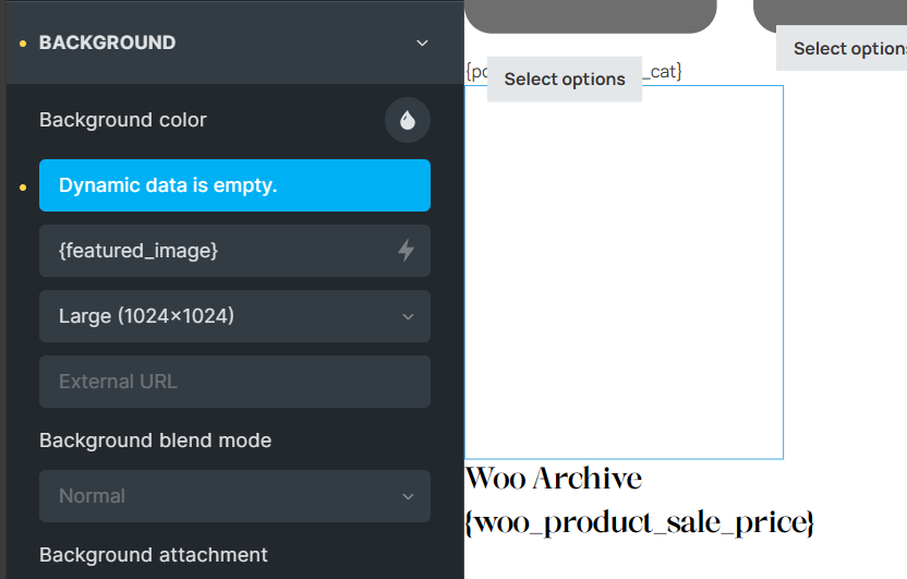 NO BUG: Dynamic Background Pic not working - Bugs - Bricks Community Forum