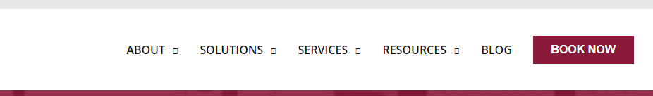 SOLVED: Icons Not Displaying - Bugs - Bricks Community Forum