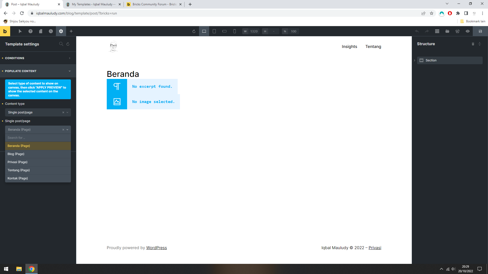 WAIT: Single Template - Populate Content Only Show Page - Bugs - Bricks ... WAIT: Single Template - Populate Content Only Show Page - Bugs - Bricks ...