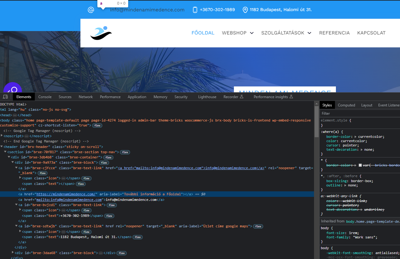 NO BUG: Dynamic data on link element design problem - Bugs - Bricks Community Forum