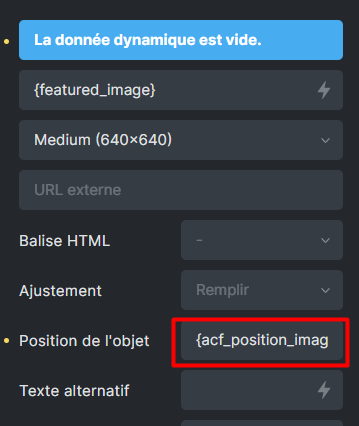 Add dynamic fields capability to all text settings - Feature Requests / Improvements - Bricks ...
