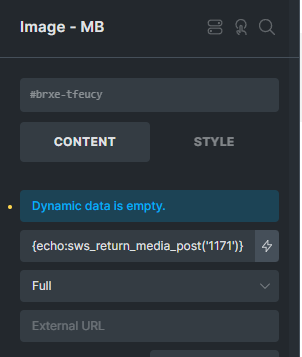 [SOLVED] What kind of data do you expect in Dynamic data of Bricks image field? - How To ...