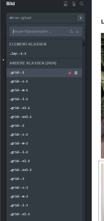 How to remove classes from being suggested? - How To - Bricks Community ...