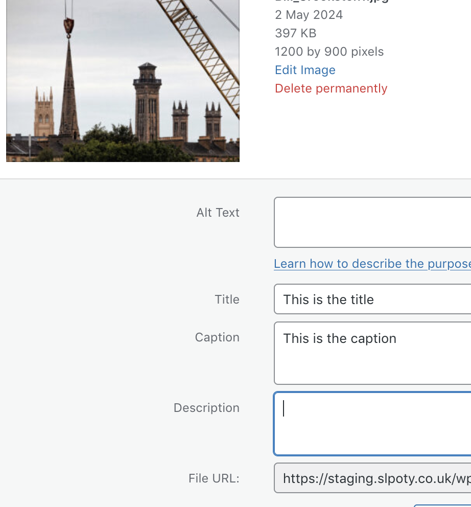 NO BUG: No image title displays on front end when show title checked - Bugs - Bricks Community Forum