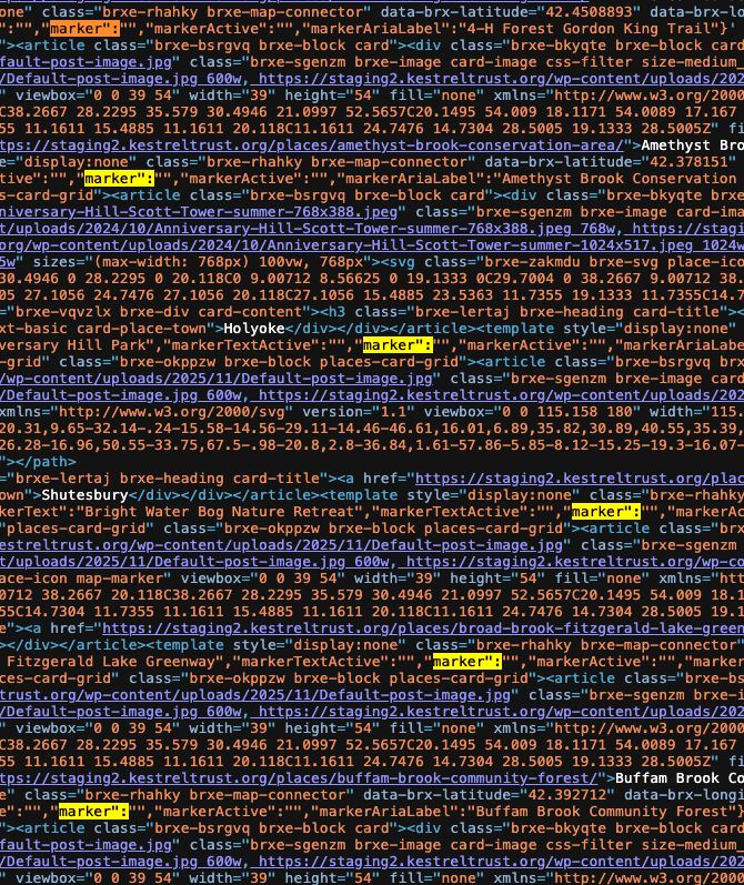 SOLVED: Custom map marker does not work if using custom URL - Bugs ...