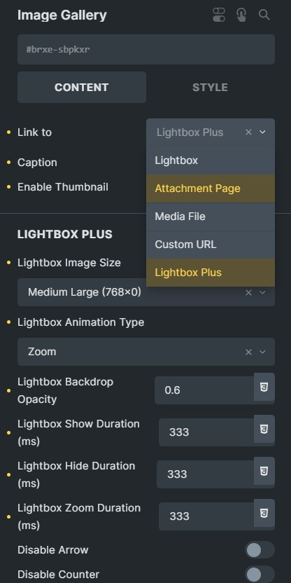 IMPLEMENTED: Option to add caption & description in gallery lightbox - Feature Requests ...